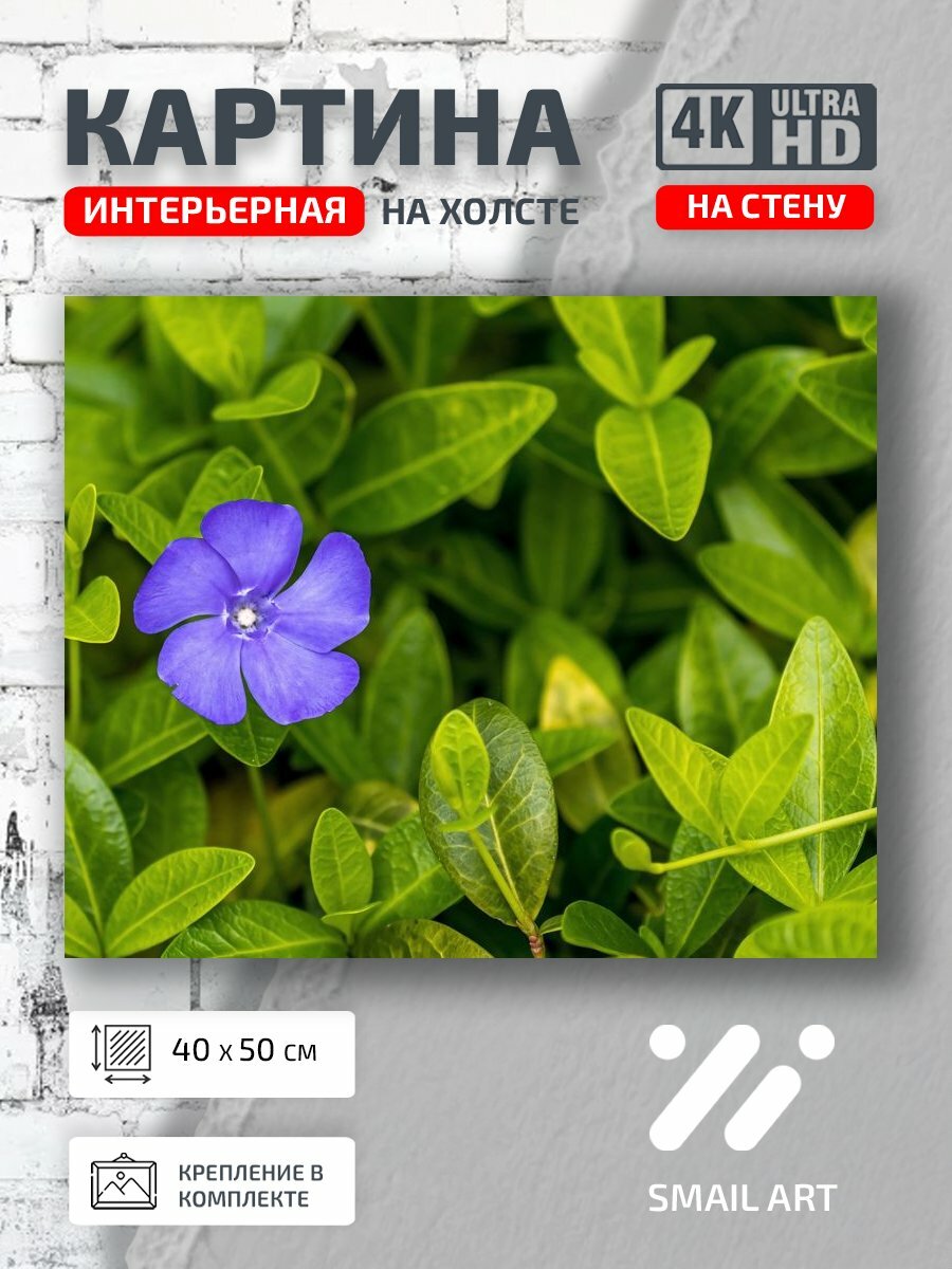 Картина на холсте интерьерная 40 на 50 на стену Фиолетовый Mood для кабинета атмосфера
