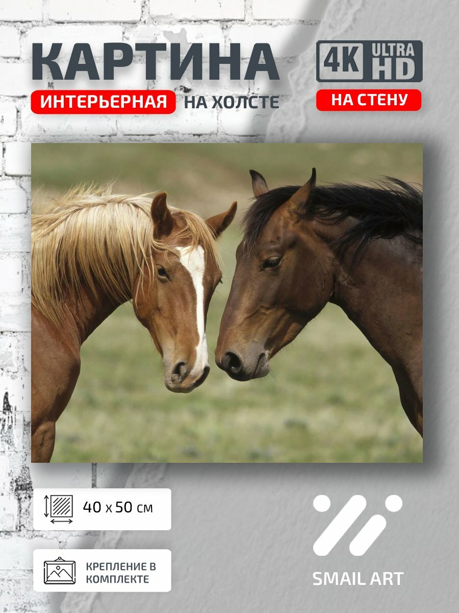 Картина на холсте интерьерная 40 на 50 на стену Лошади Animal для гостиной animal style