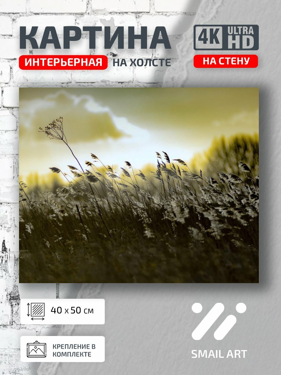 Картина на холсте интерьерная 40 на 50 на стену Ветер Landscape для кафе пейзаж интерьер