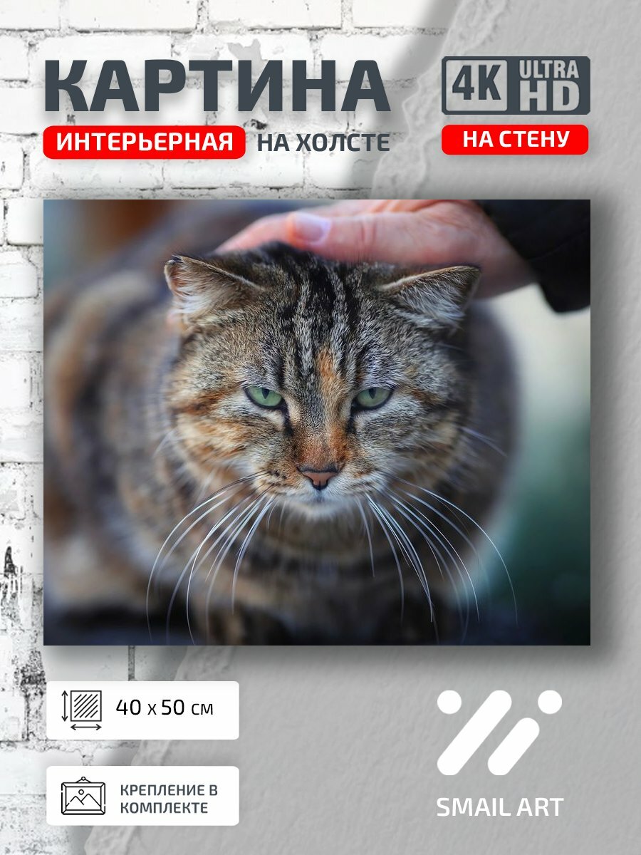 Картина на холсте интерьерная 40 на 50 на стену Рука Animal для спальни animal style декор