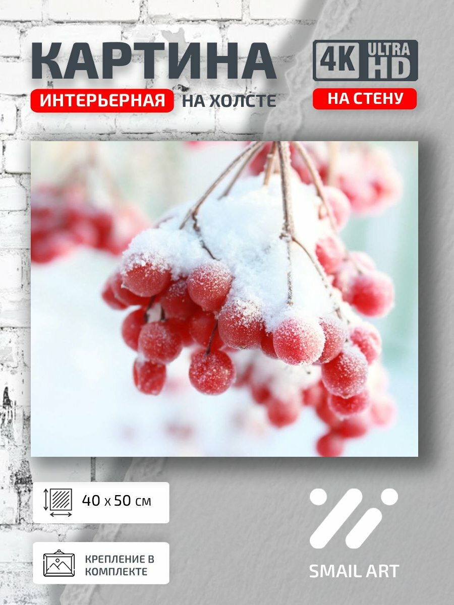 Картина на холсте интерьерная 40 на 50 на стену Иней Landscape для кабинета пейзаж интерьер