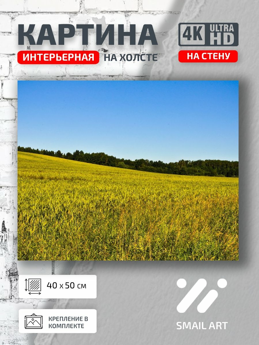 Картина на холсте интерьерная 40 на 50 на стену Небо Landscape для кафе пейзаж интерьер