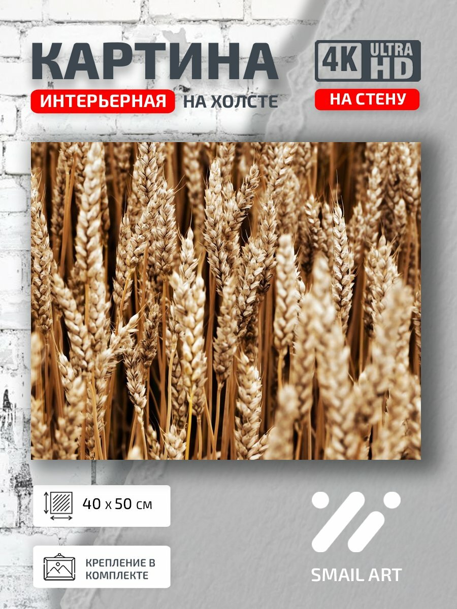 Картина на холсте интерьерная 40 на 50 на стену Стебли Landscape для кабинета пейзаж декор