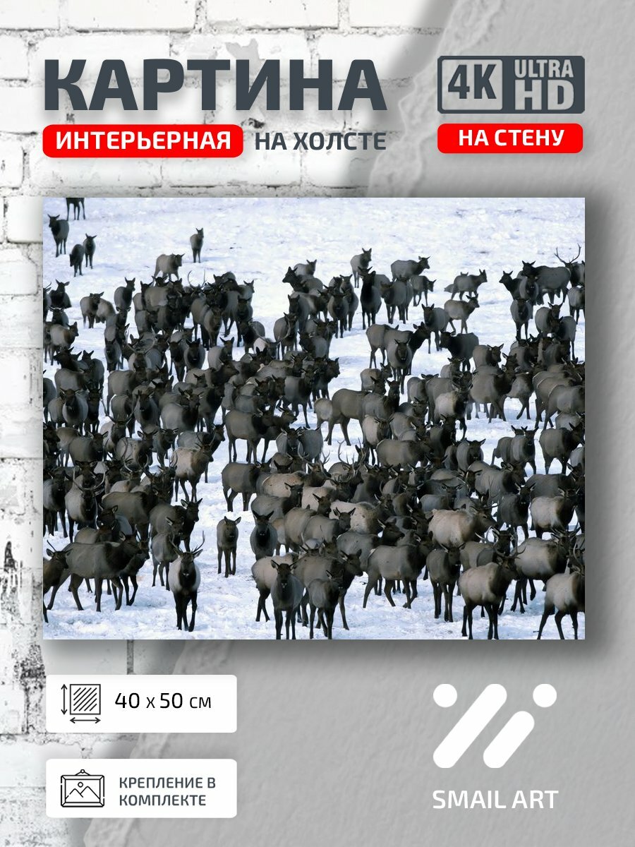 Картина на холсте интерьерная 40 на 50 на стену Олени Mood для офиса атмосфера интерьер