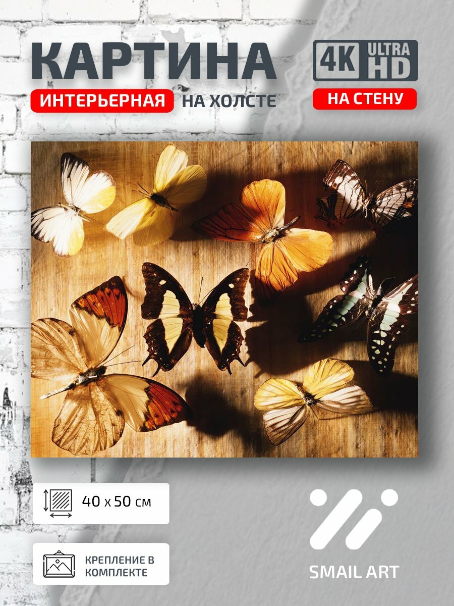 Картина на холсте интерьерная 40 на 50 на стену Бабочки Mood для спальни атмосфера интерьер