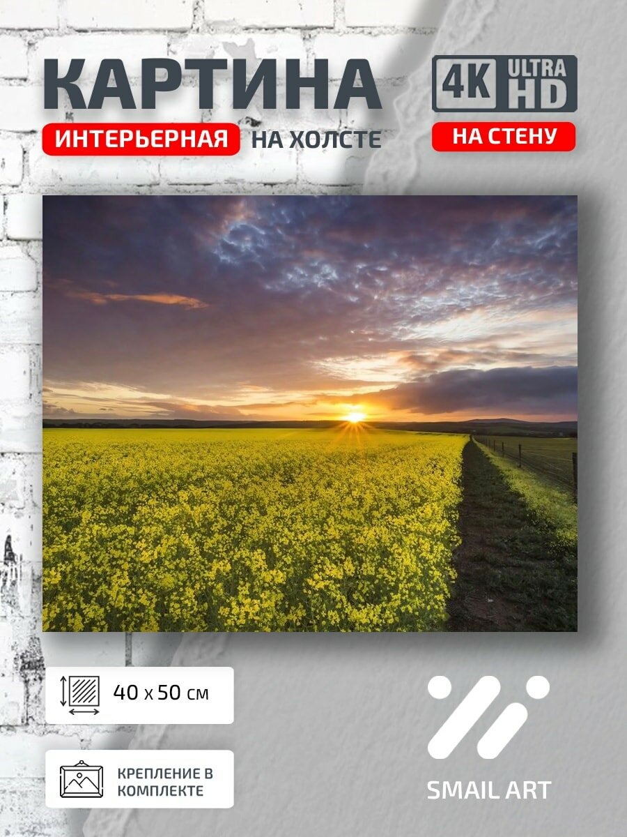 Картина на холсте интерьерная 40 на 50 на стену Пейзаж поле для кабинета атмосфера