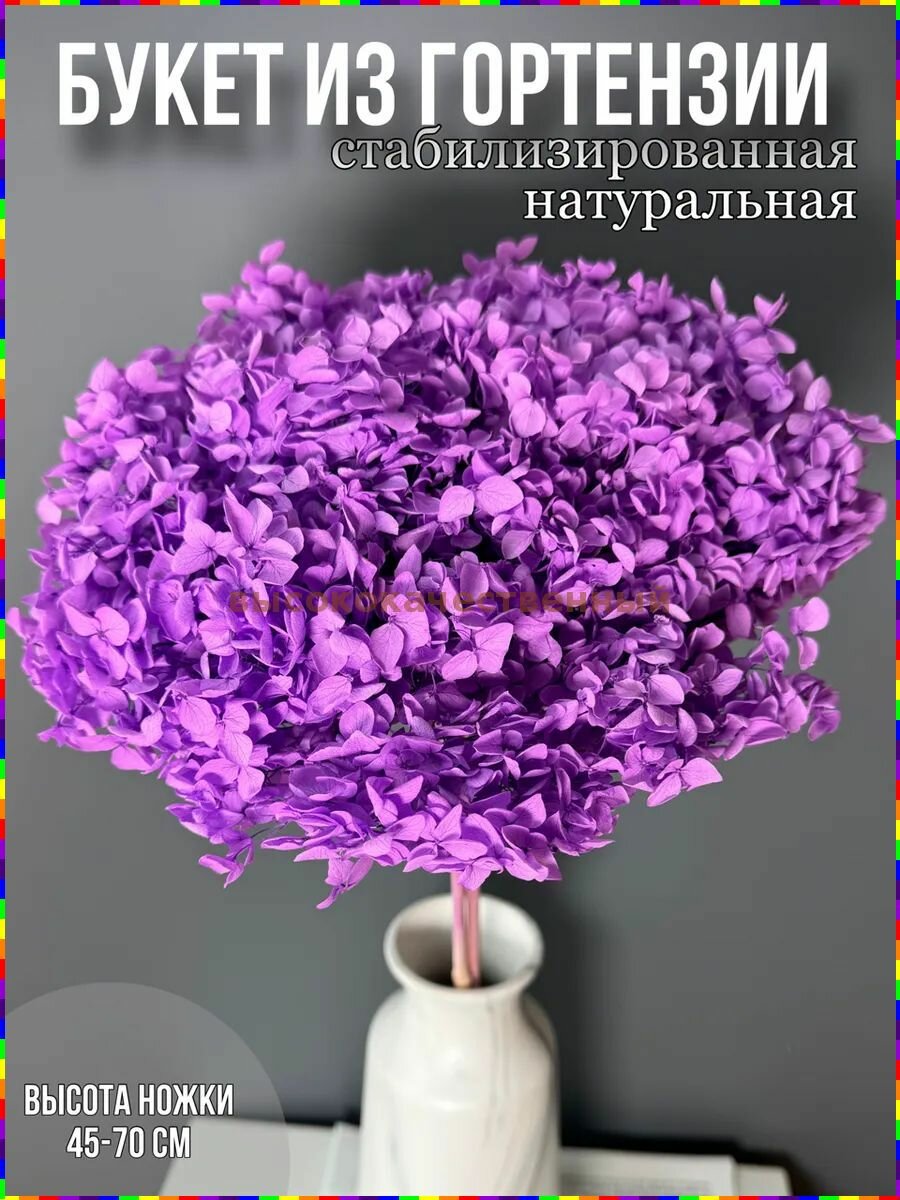 Стильная стабилизированная гортензия живой сухоцвет для уютного декора интерьера