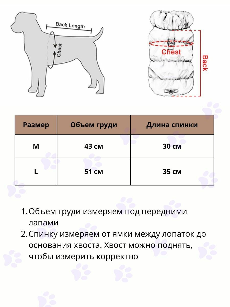 Одежда для животных — фото 1