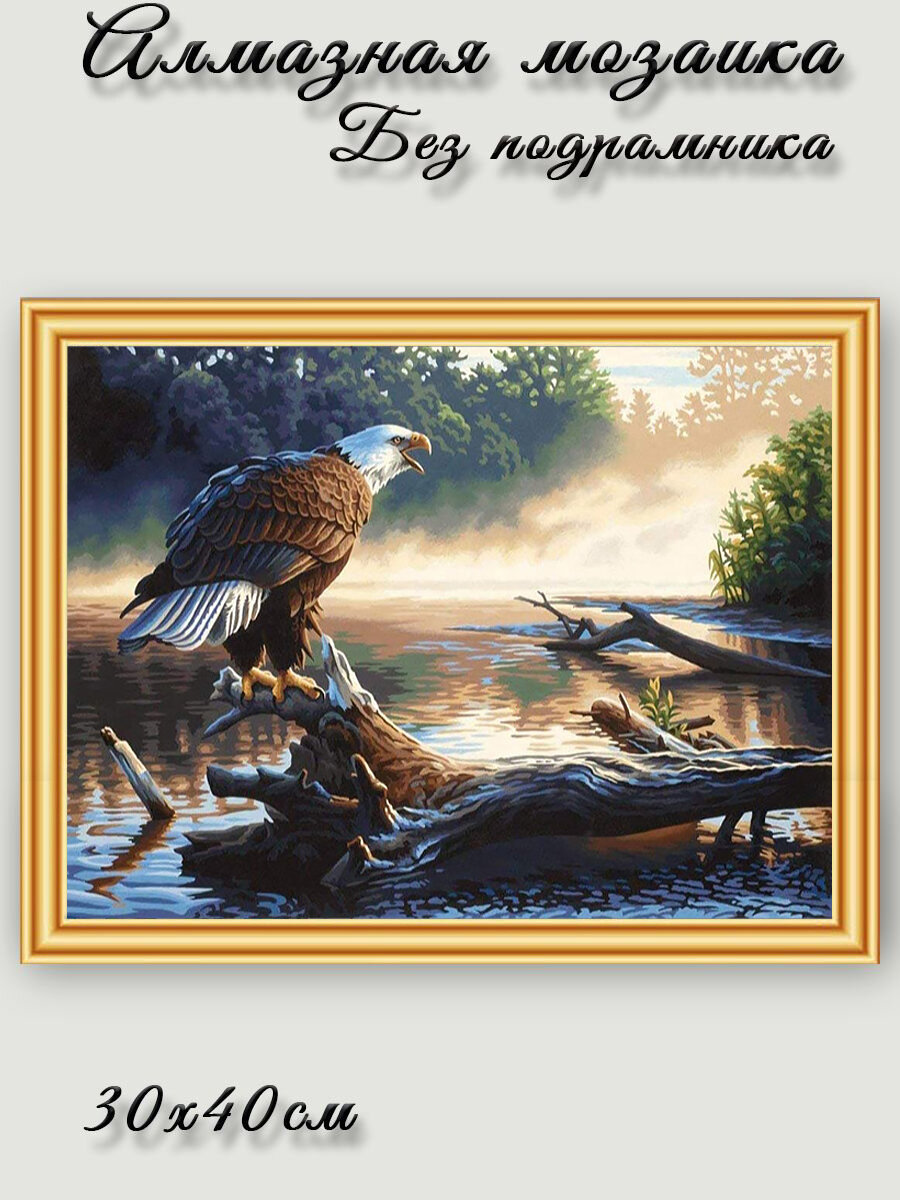 Алмазная мозаика "Орёл"