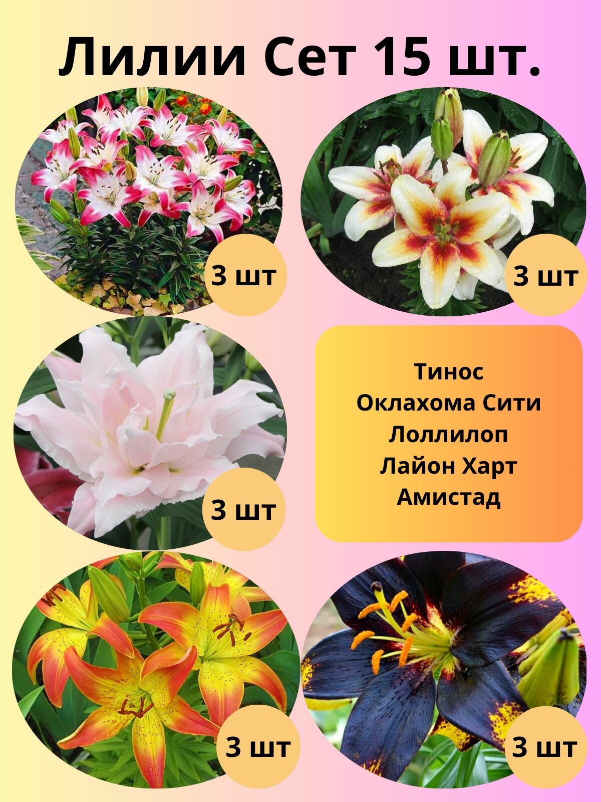 Лилия, луковицы для посадки, сет 15 штук