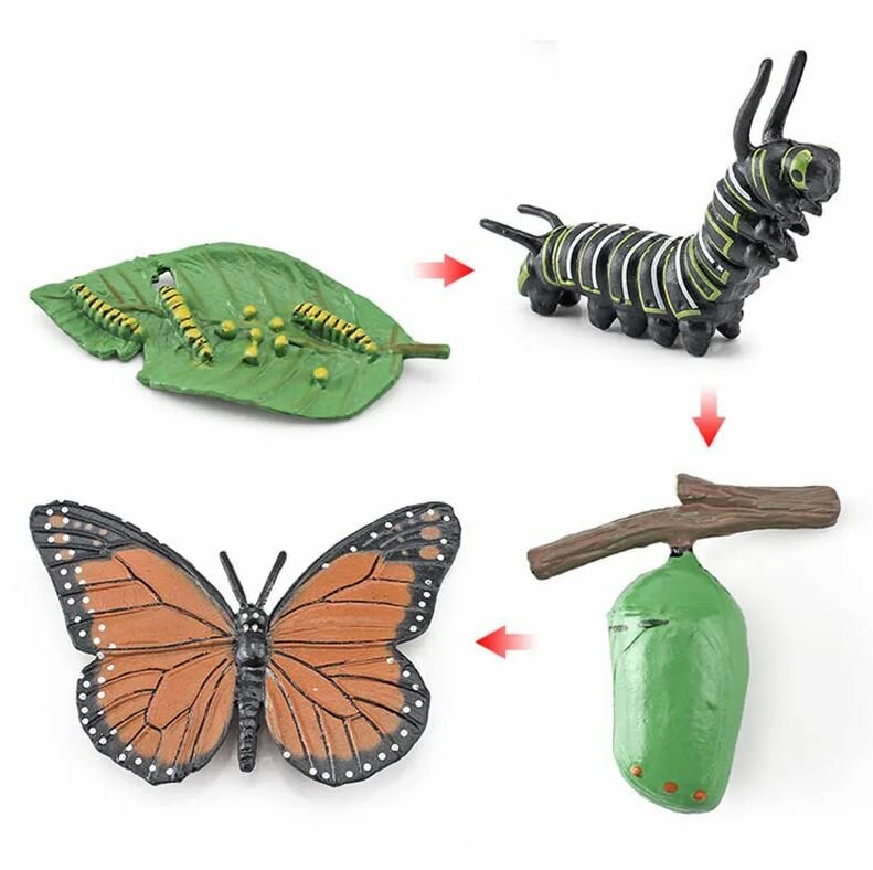 Набор фигурок "Жизненный цикл бабочки" из серии "Изучаем природу"