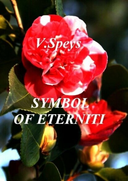 Symbol of eternity [Цифровая книга]