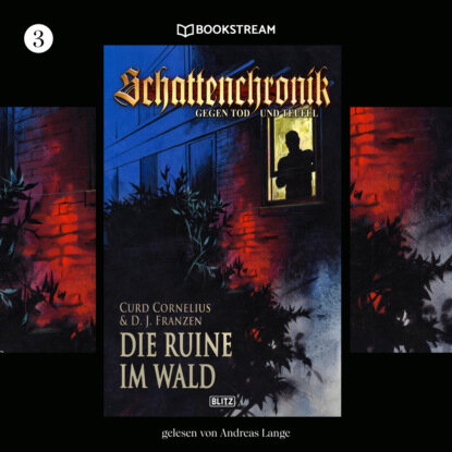 Die Ruine im Wald - Schattenchronik, Folge 3 (Ungekürzt) [Аудиокнига]
