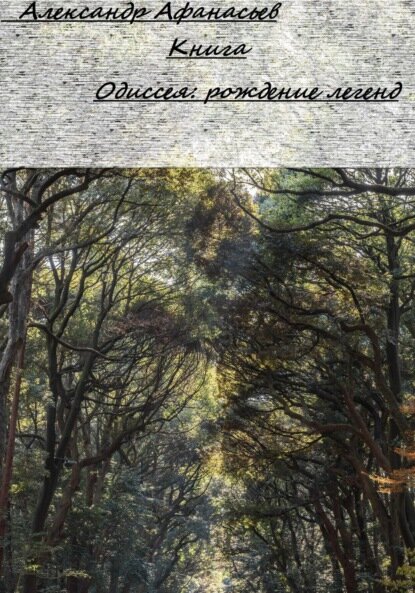 Одиссея: Рождение легенд [Цифровая книга]