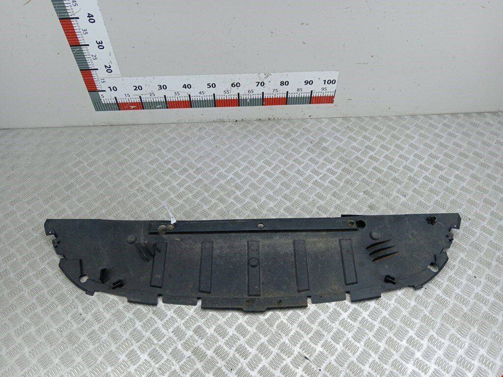 Защита радиатора Renault Scenic 2 арт. 2177696