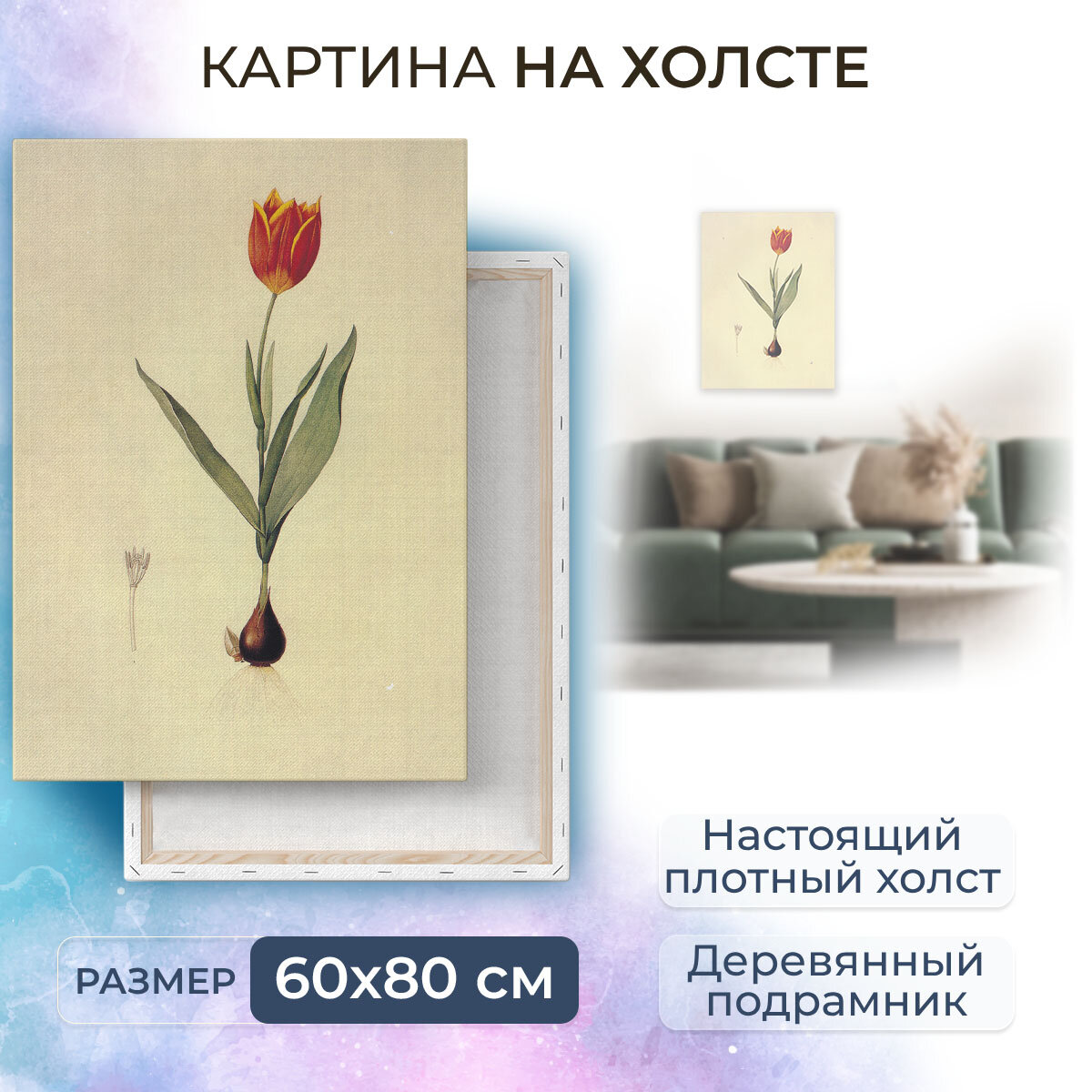 Картина на холсте с подрамником / Pierr - Joseph Redoute / Пьер-Жозеф Редуте