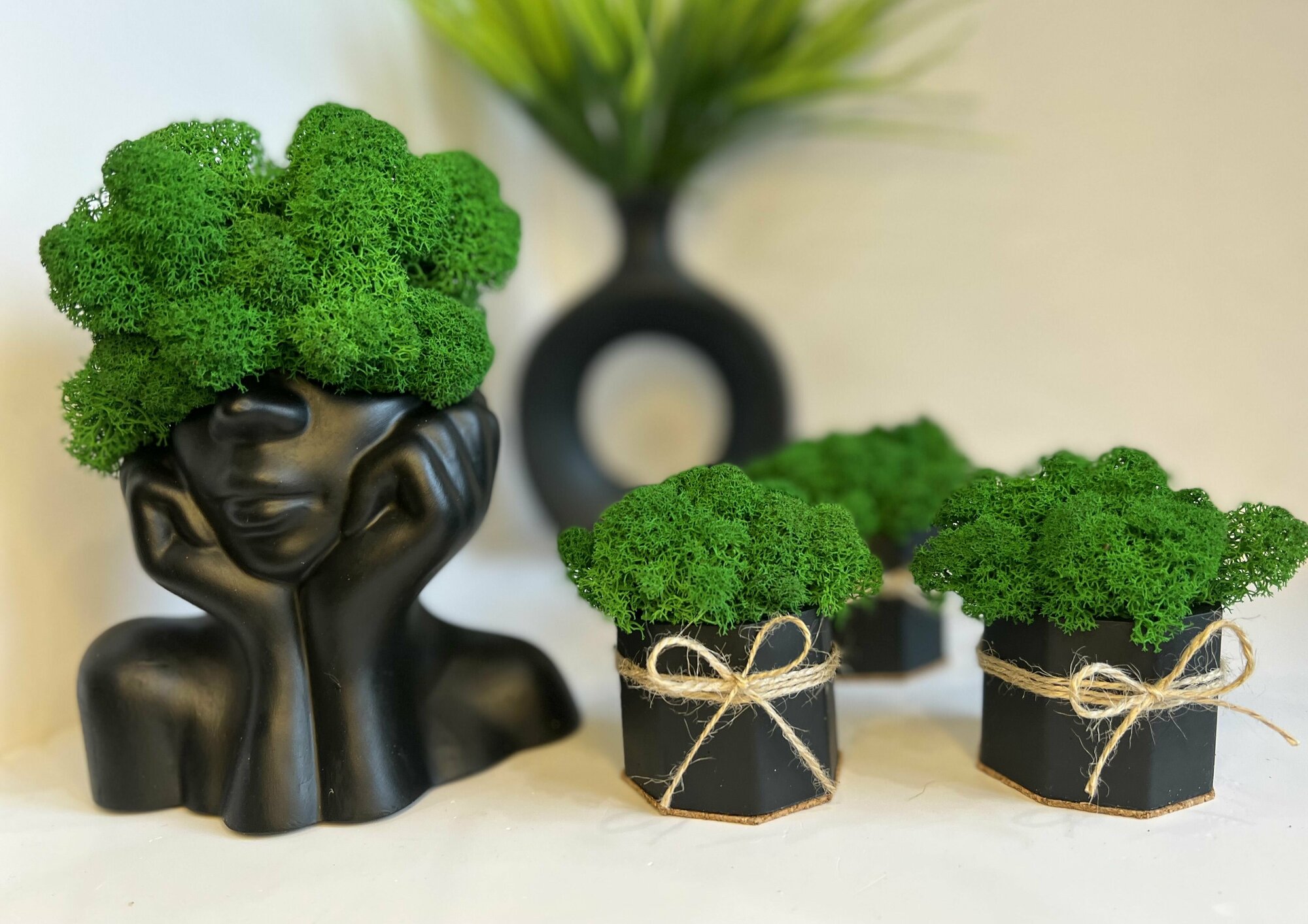 Кашпо со стабилизированным мхом/Набор кашпо/стабилизированный мох/Кашпо мини+ваза Амелия со стабилизированным мхом/для декора и интерьера/подарочный набор