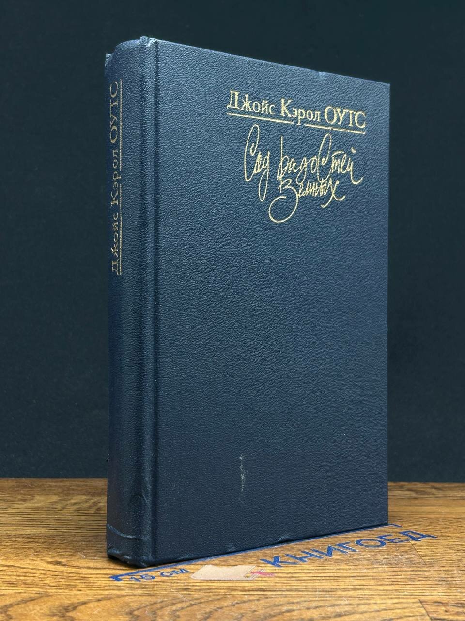 Книга. Сад радостей земных 1993 (2043064971563)