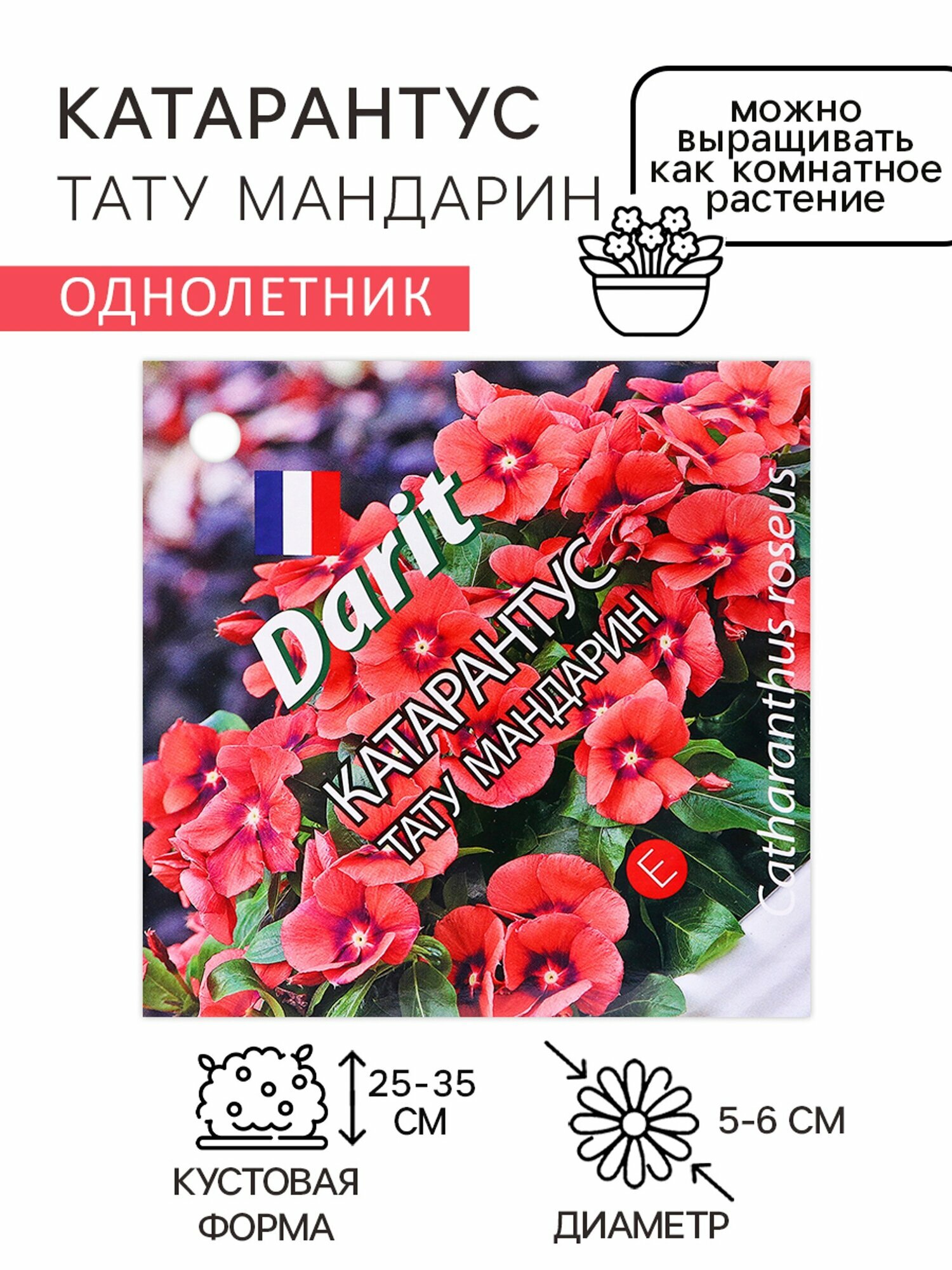 Катарантус «Тату Мандарин», семена цветов, 7 шт.