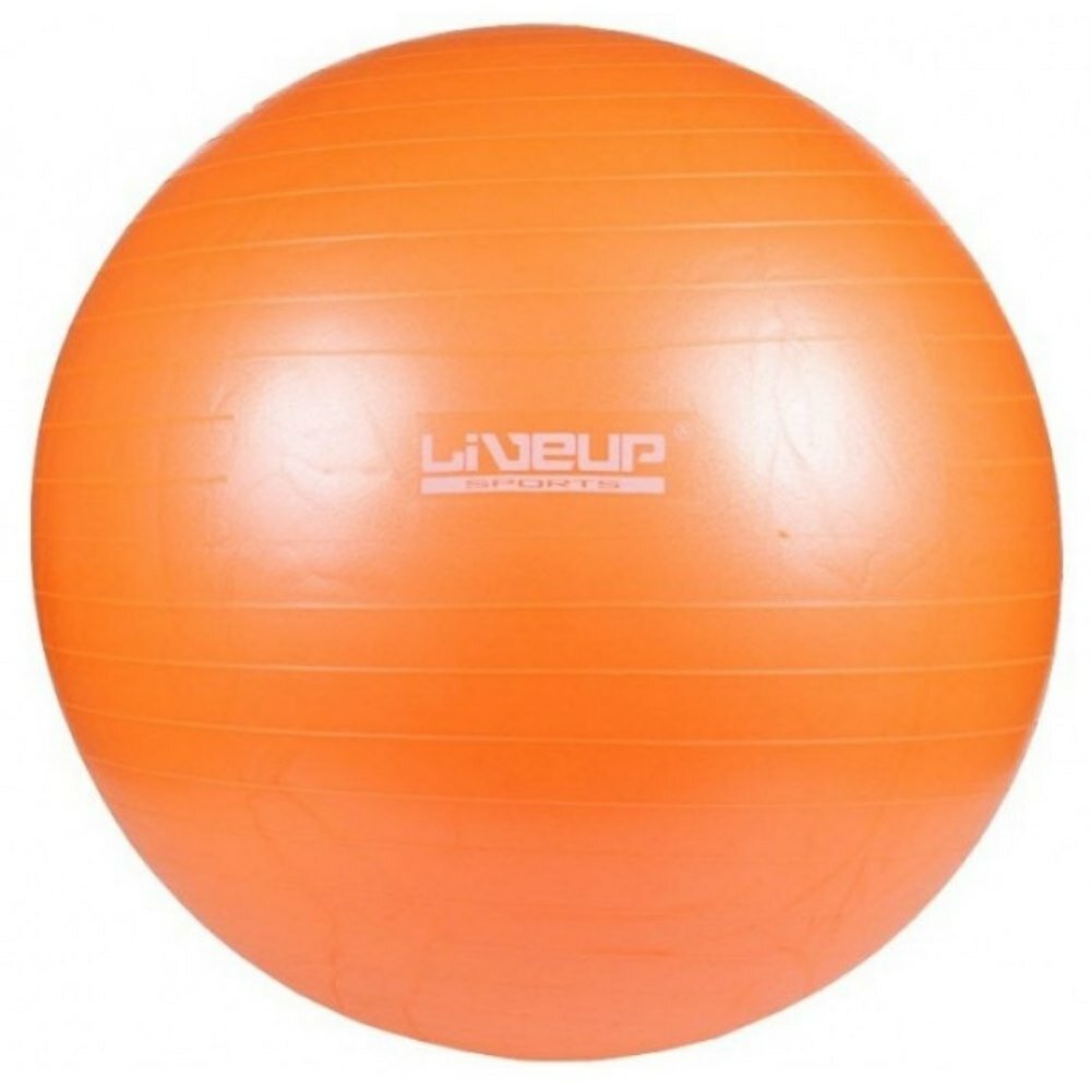 Фитбол Live Up LS3222, 65 см, с насосом, ПВХ