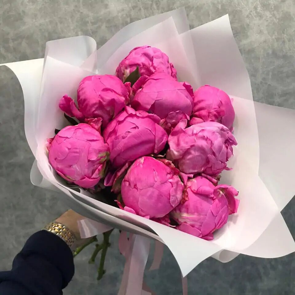 Букет из малиновых пионов 9 шт, красивый букет цветов, шикарный, премиум цветы, премиум букет