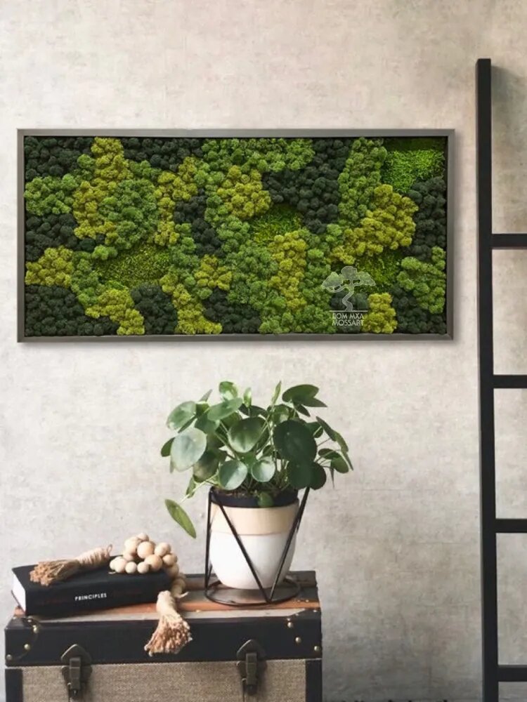 Картина "Flying" из стабилизированных мхов в подарочной упаковке, 120*60 см, Графит