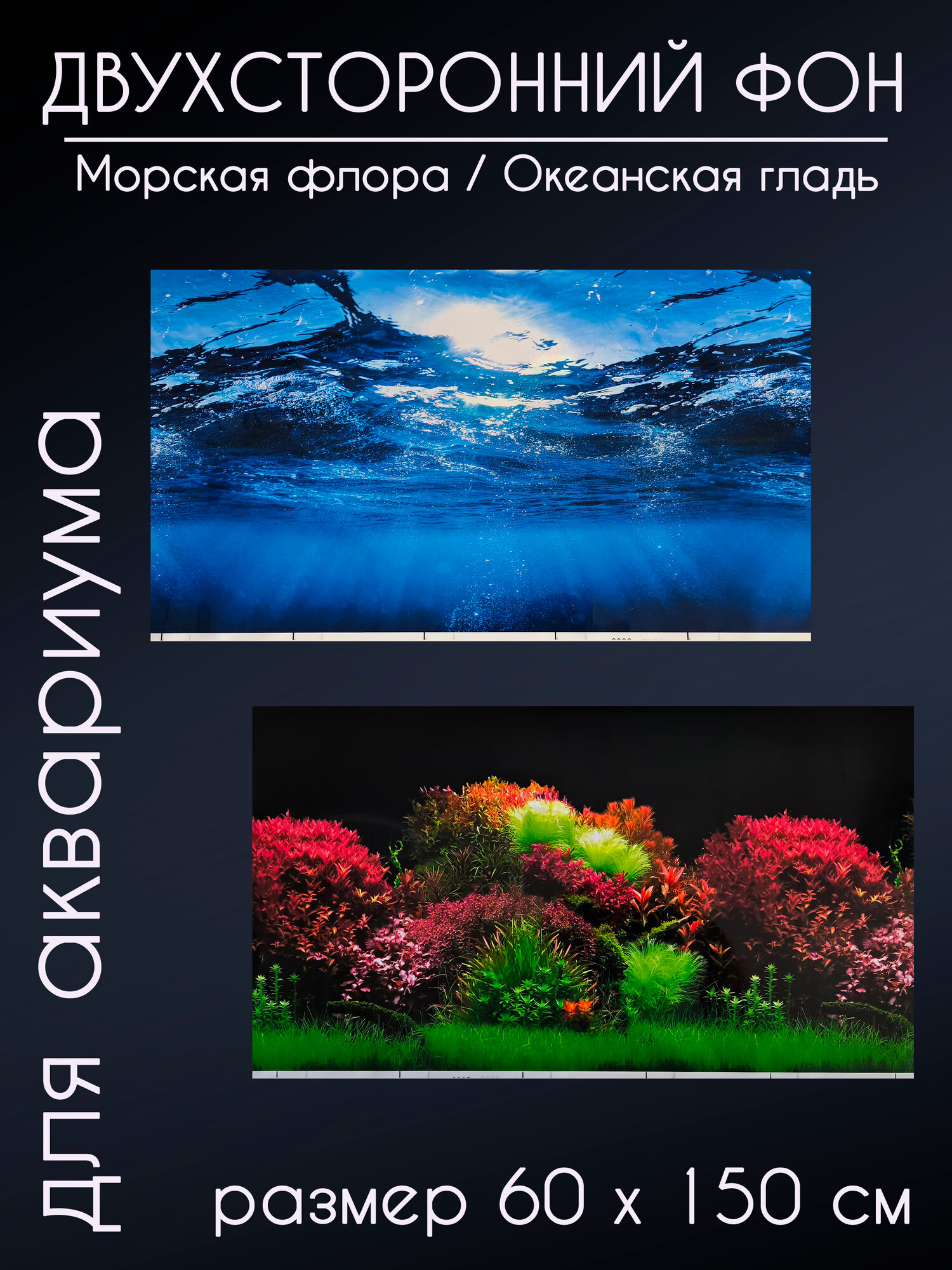 Фон для аквариума и террариума, 60 х 150 см, двухсторонний "Морская флора / Океанская гладь"
