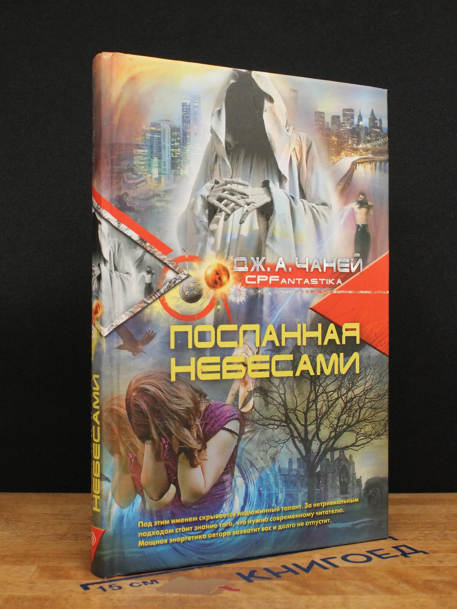 Книга. Посланная небесами 2012 (2046606841140)