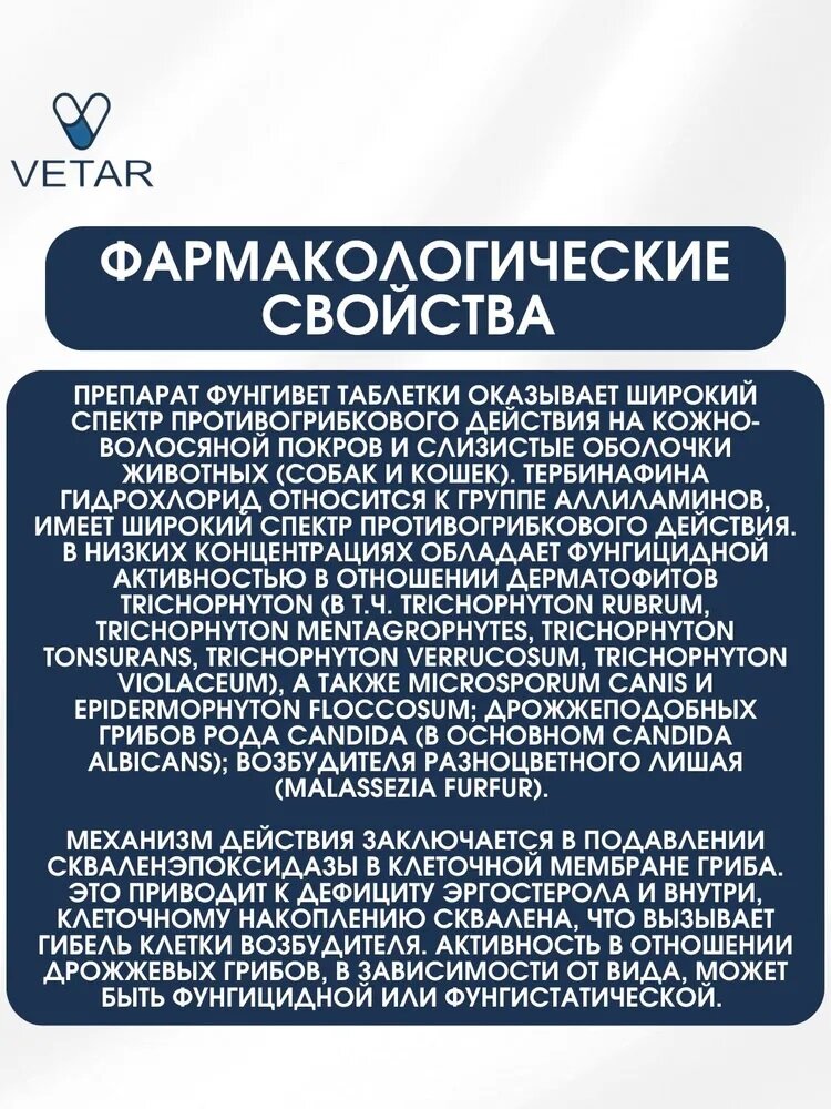 Фунгивет препарат для лечения грибковых заболеваний кожи уп. 10 таблеток (1 уп) — фото 1