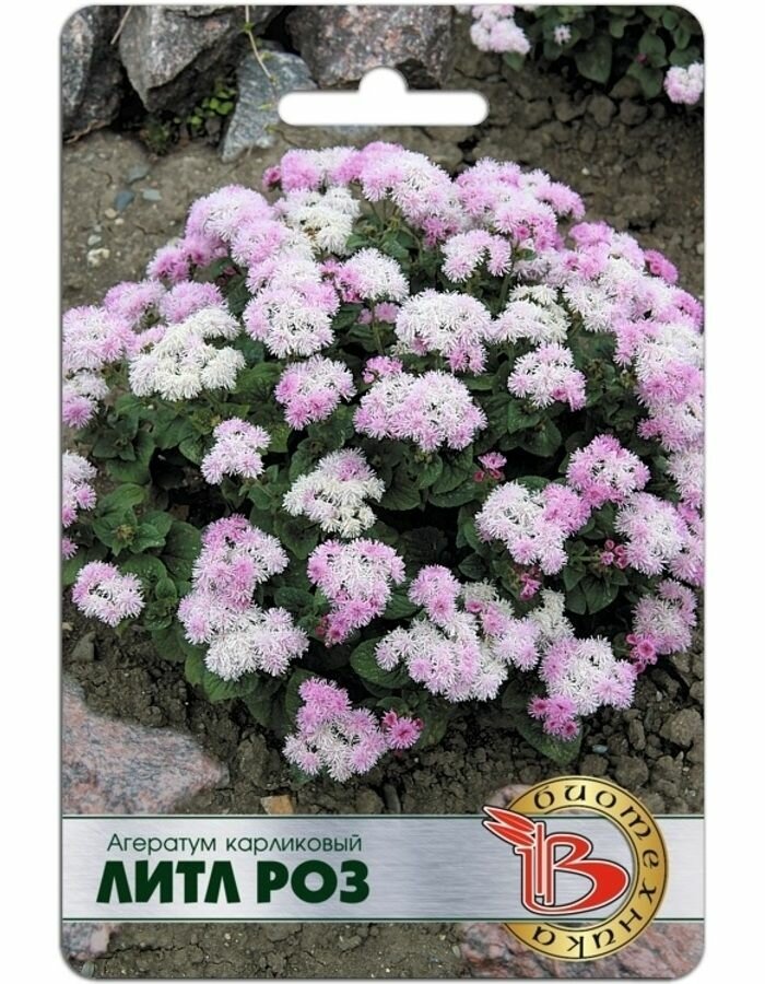 Семена Агератум карликовый Литл Роз Биотехника