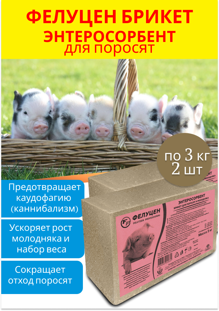 Комплект Брикет энтеросорбент Фелуцен для поросят и молодняка 3кг, 2 штуки
