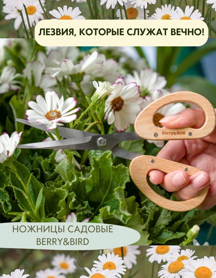 Ножницы для цветов садовые c деревянной ручкой Berry&Bird