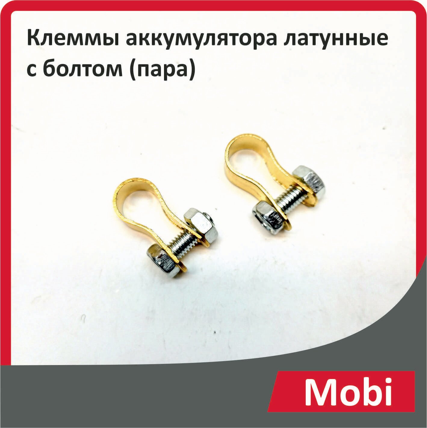 Клеммы аккумулятора латунные с болтом (пара)