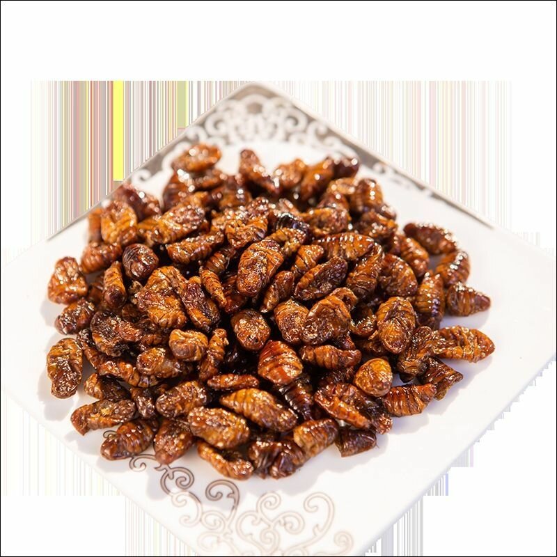 Жареная куколка цикады
