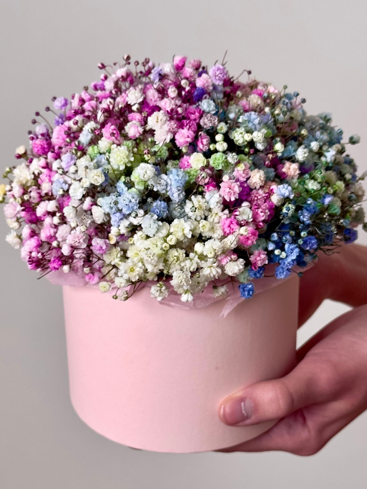 Букет "Радужное Облако", S, в шляпной коробке, разноцветный, 5 цветов