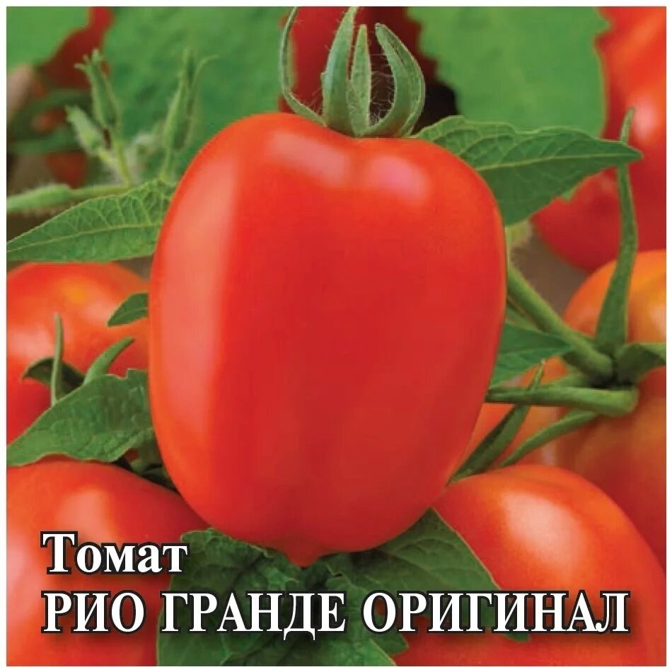 Гавриш Томат Рио гранде 25г Фермер