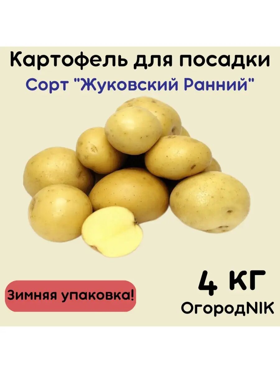 Картофель семенной "Жуковский Ранний" 4 кг