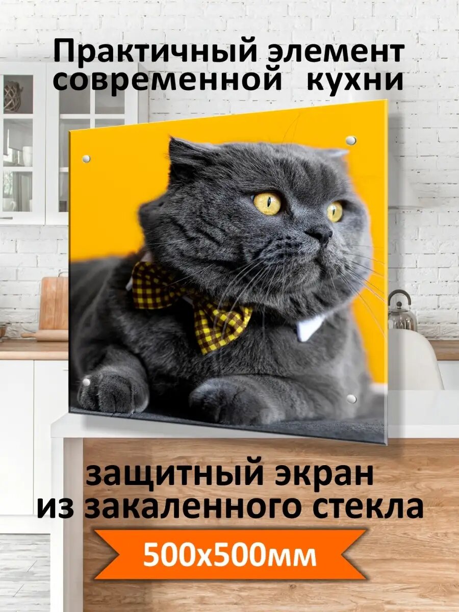 Защитный экран для плиты от брызг 500х500мм
