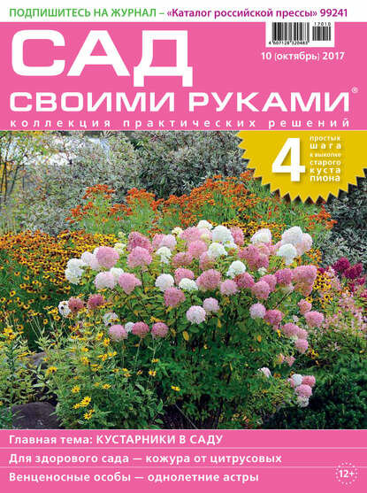 Сад своими руками №10/2017 [Цифровая книга]