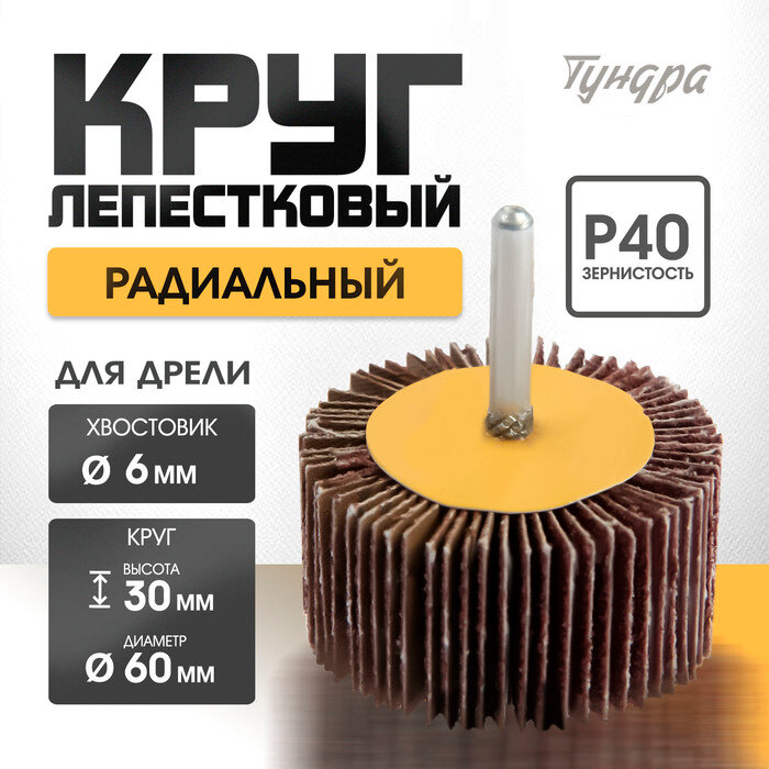 Круг лепестковый радиальный тундра, 60×30×6 мм, Р40