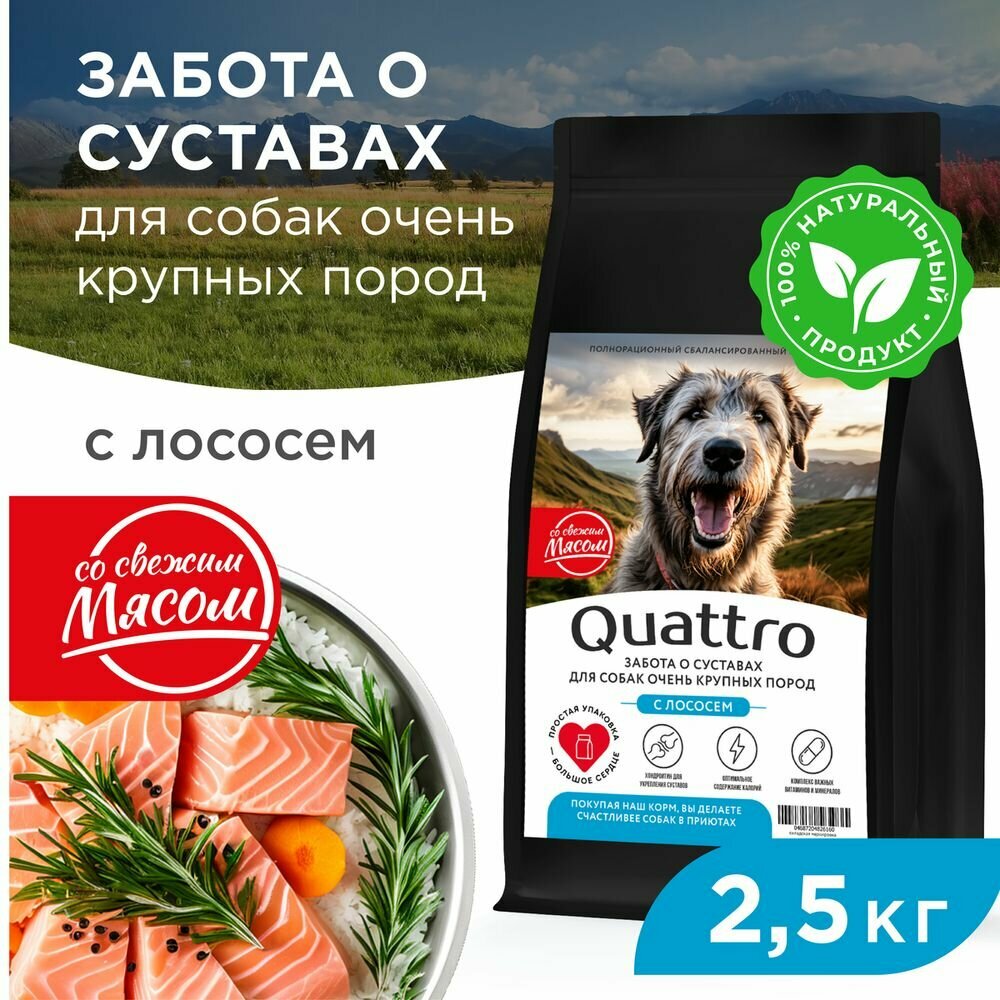 Корм сухой для взрослых собак очень крупных пород, премиум полнорационный комплекс, забота о суставах, с лососем, 2,5 кг, QUATTRO