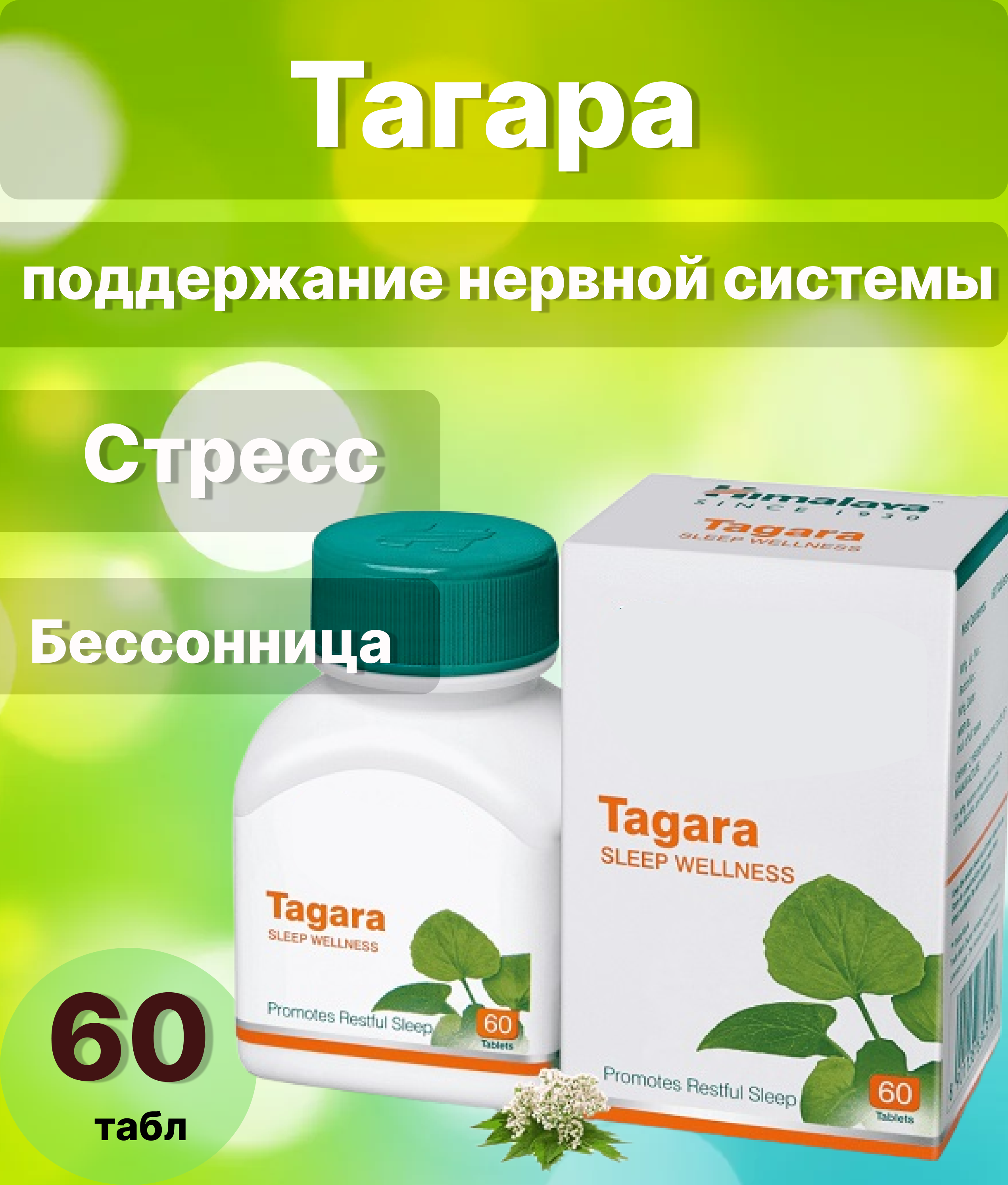 Тагара - поддержание нервной системы, стресс, бессонница (oxan)