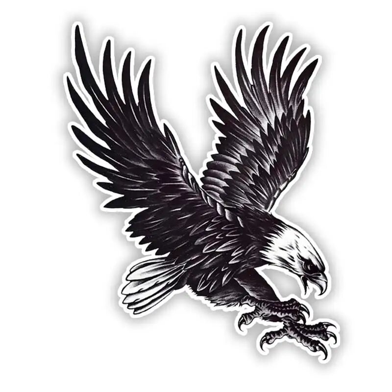 S50454 # различные размеры индивидуальная ПВХ наклейка ручная роспись Орел брендовая Height 17cm