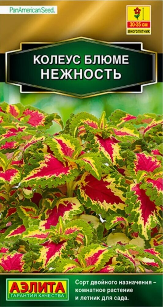 Колеус Блюме Нежность 5шт Мн 35см (Аэлита)