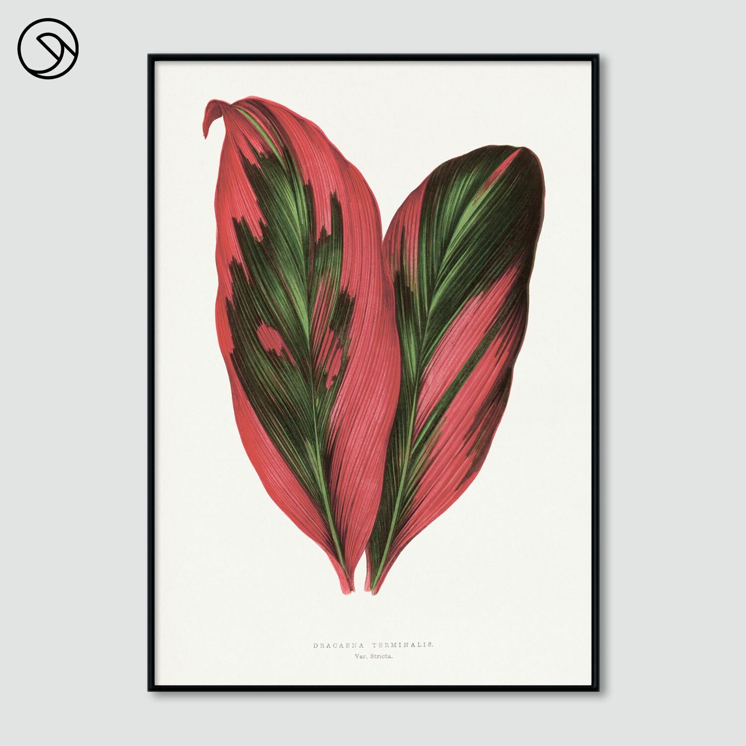 Постер в раме 50х70 Postermarkt, Красно-Зеленые Листья