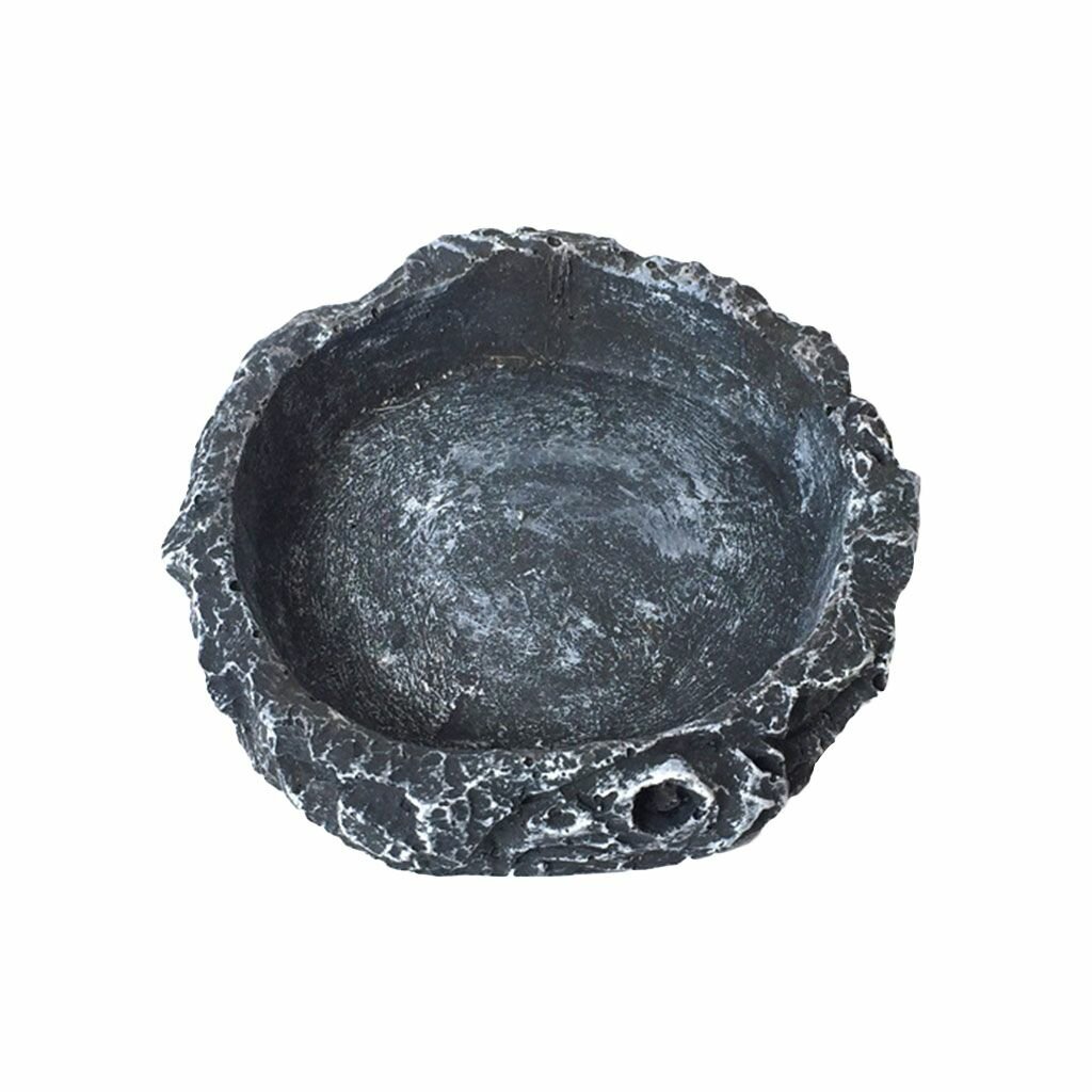 Специальный резервуар для воды для рептилий, резервуар для корма