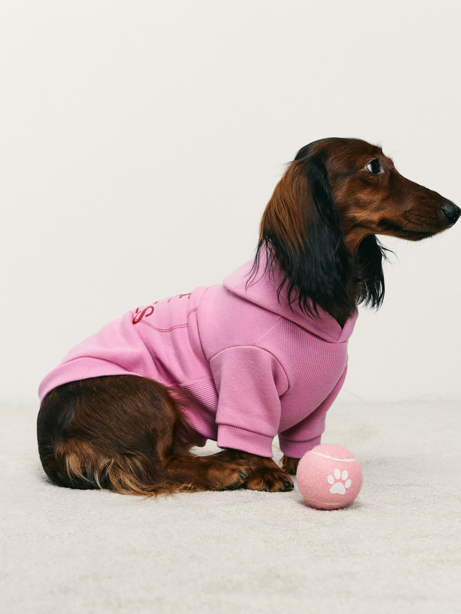 Мячик теннисный с лапкой для питомца Zarina, цвет розовый, один размер