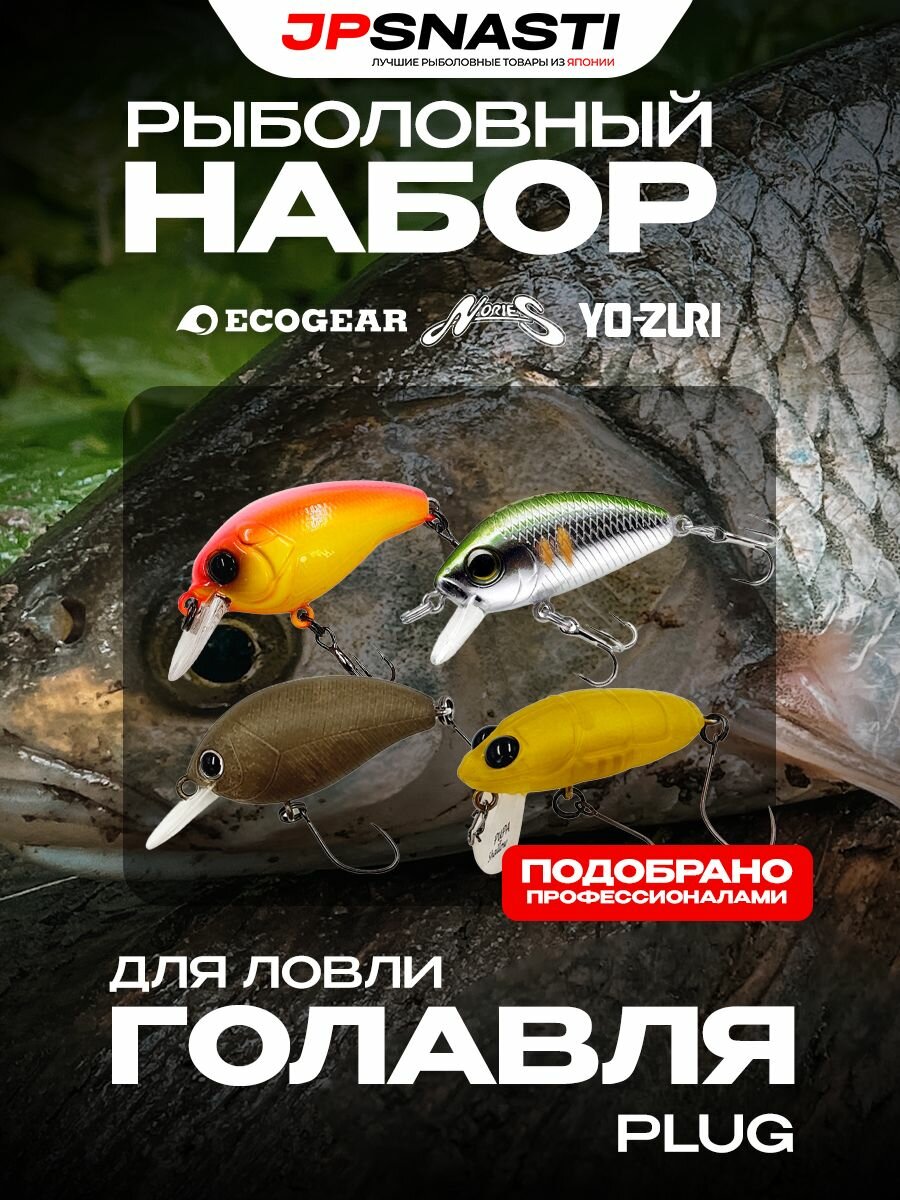 Рыболовный набор Японские снасти Chub Set, Plug, для ловли голавля