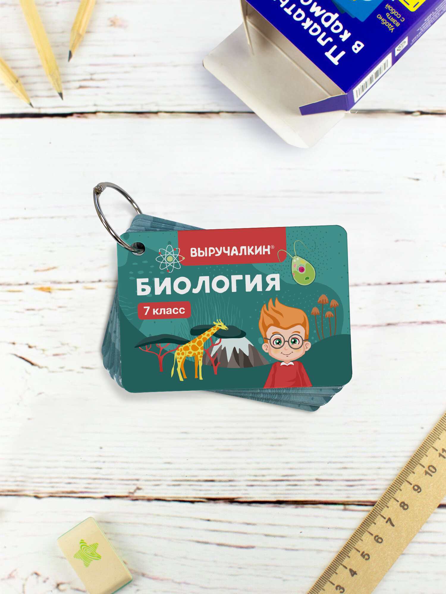 Обучающие карточки «Биология» 7 класс, на кольце, двухсторонние