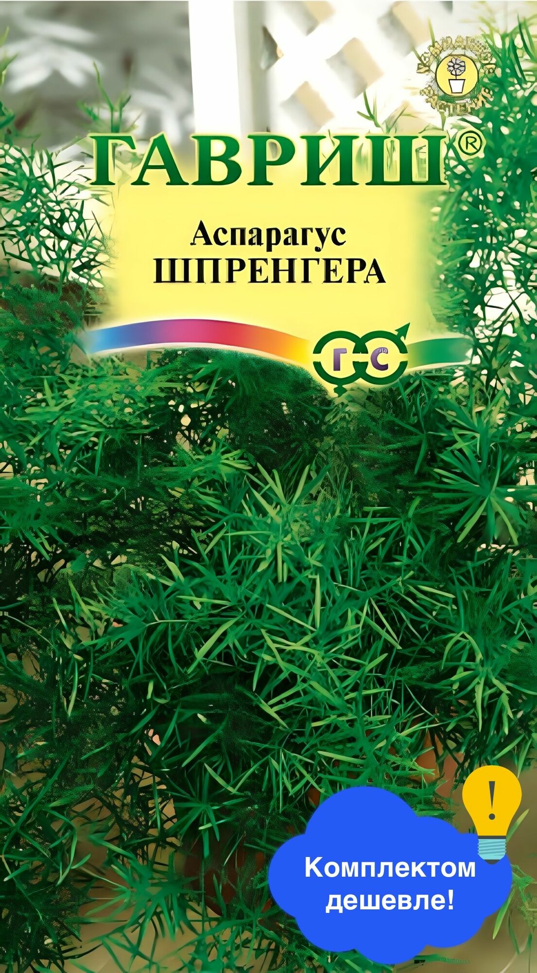 Цветы Аспарагус Шпренгера 5шт Гавриш